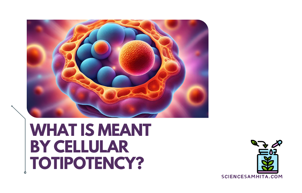 What is meant by Cellular Totipotency? – Science Samhita