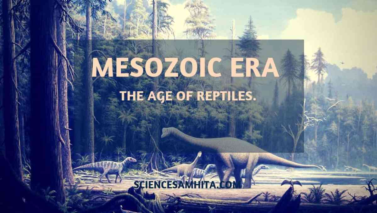 Mesozoic Era – the Age of Reptiles. – Science Samhita