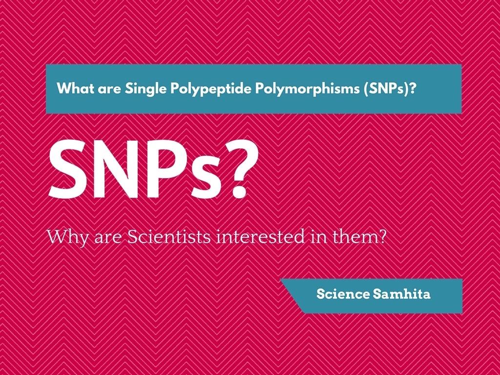 What are SNPs- – Science Samhita