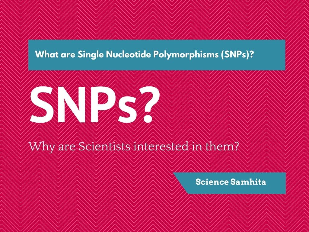 What are SNPs? – Science Samhita