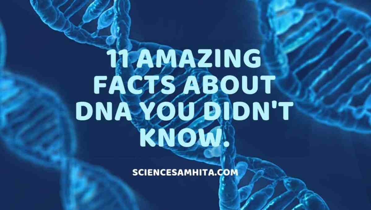 11 Amazing Facts about DNA You didn’t Know. – Science Samhita