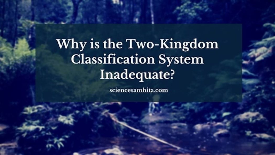 Why is the Two-Kingdom Classification System Inadequate? – Science Samhita