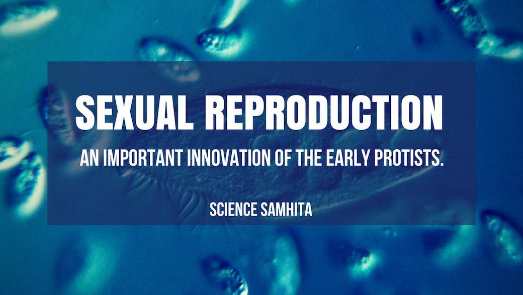 Sexual Reproduction – An Important Innovation of the Early Protists ...