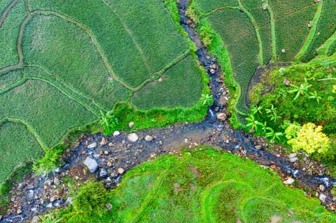 What are Ocean Dead Zones? What Causes Them and How Can We Prevent Them ...