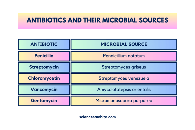 11 Everyday Products that are derived from Microbes. – Science Samhita