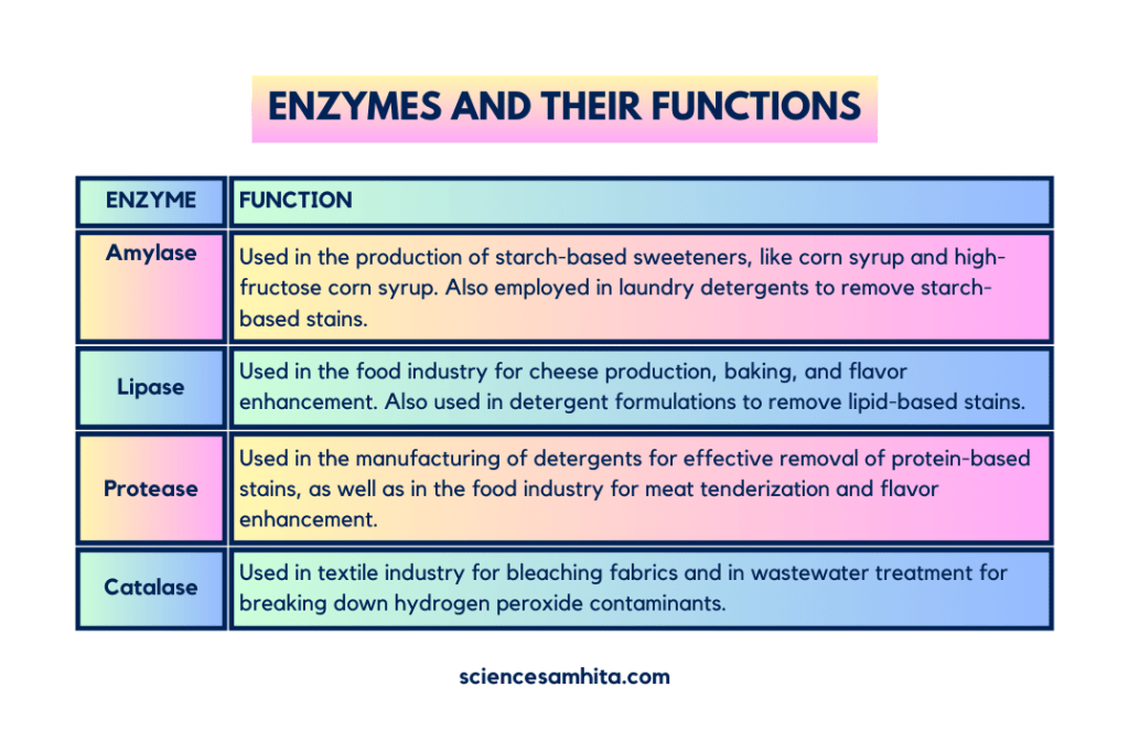 11 Everyday Products that are derived from Microbes. – Science Samhita